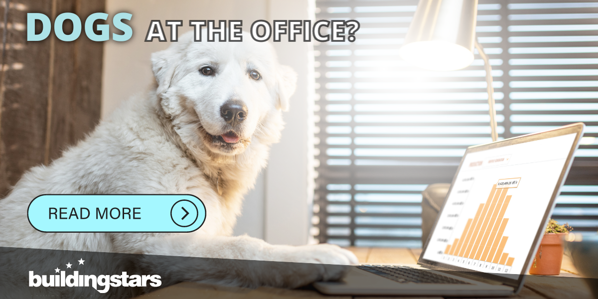 3 Benefits of Having Dogs in the Office | Buildingstars